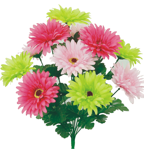 18" Hot Pink, Light Pink and Lime Green Gerber Daisy Bush x12 | 30550H ...