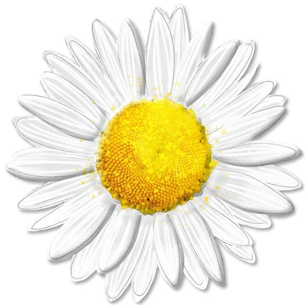 60% Off Section – Page 2 – White Bayou Wreaths & Supply